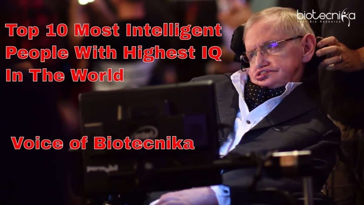 What Is The Most Intelligent Person In The World