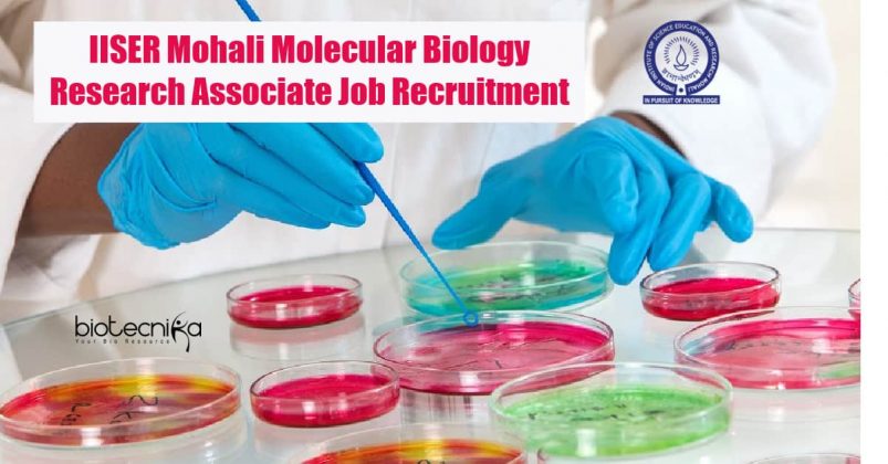 IISER Mohali Molecular Biology Research Associate Job Recruitment
