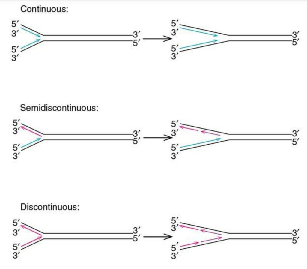 CSIR DNA Replication Notes - Download CSIR NET UNIT 3 Notes CSIR DNA Replication Notes - Download CSIR NET UNIT 3 Notes