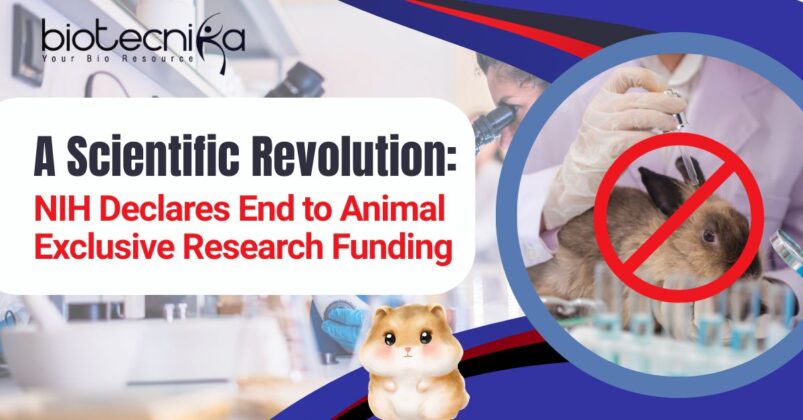 NIH Ends Animal-Only Research - to Boost Human-Based Models